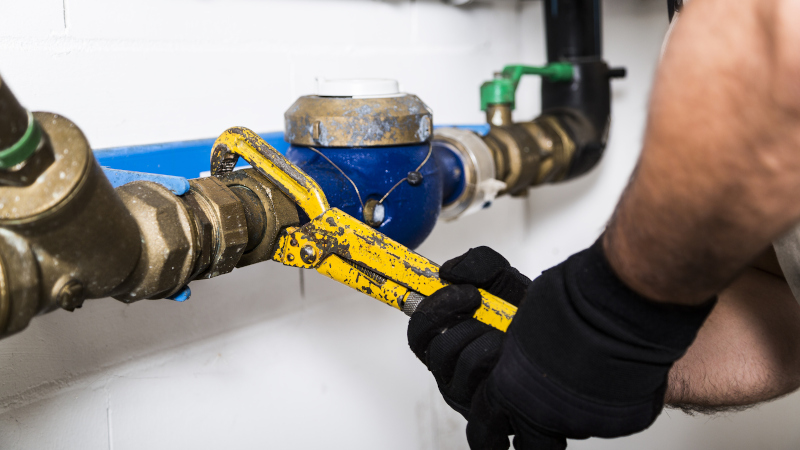 Everything You Need to Know about Backflow | BL Plumbing Service